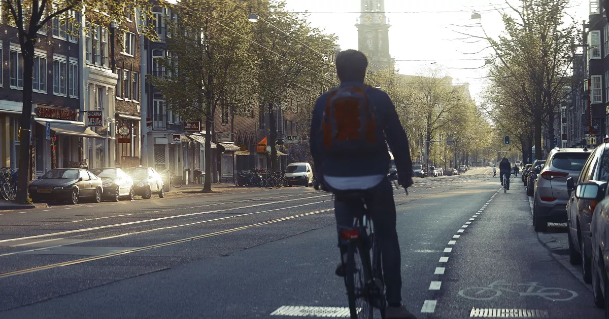 Stibbe advises Pallas | Stibbe