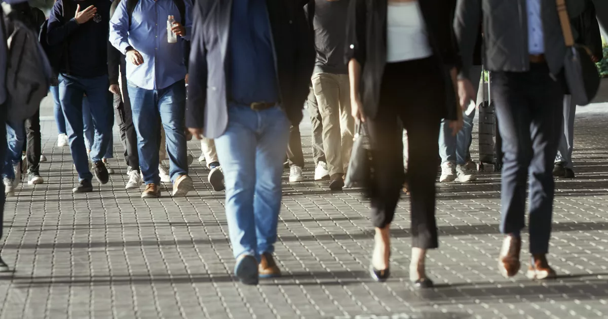 Stibbe Diversity Seminar | Stibbe