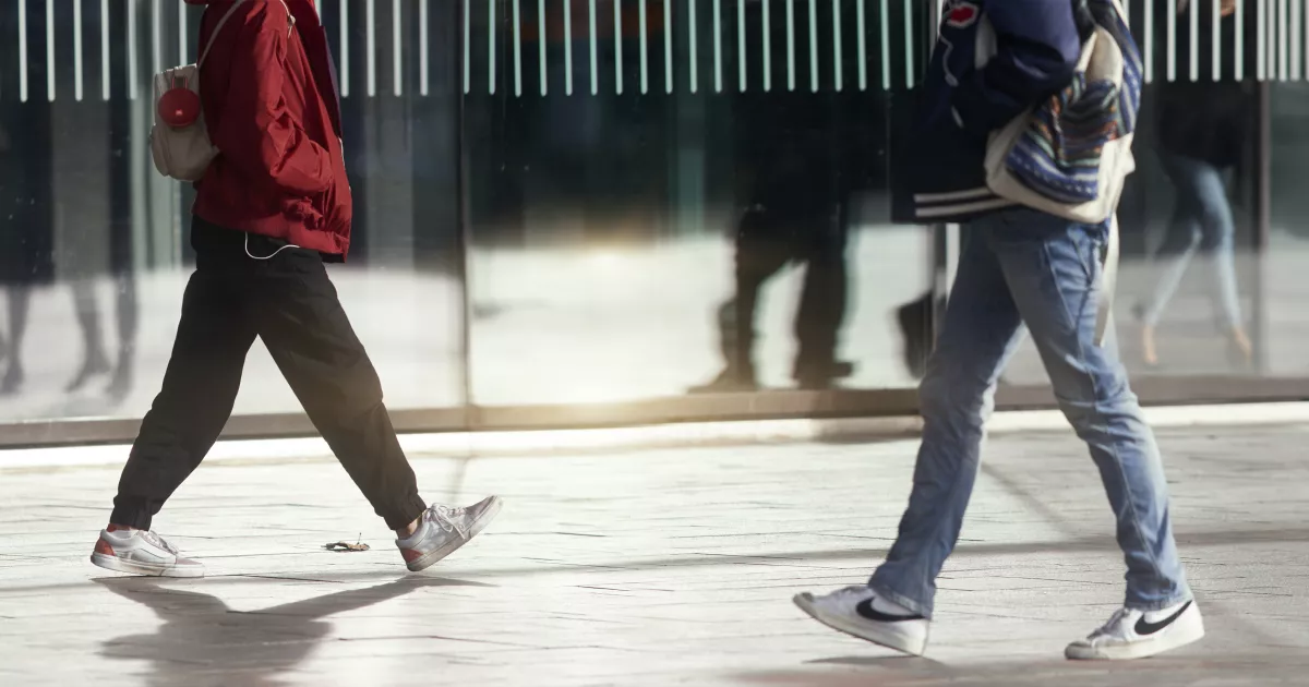 Stibbe named most popular firm among students | Stibbe