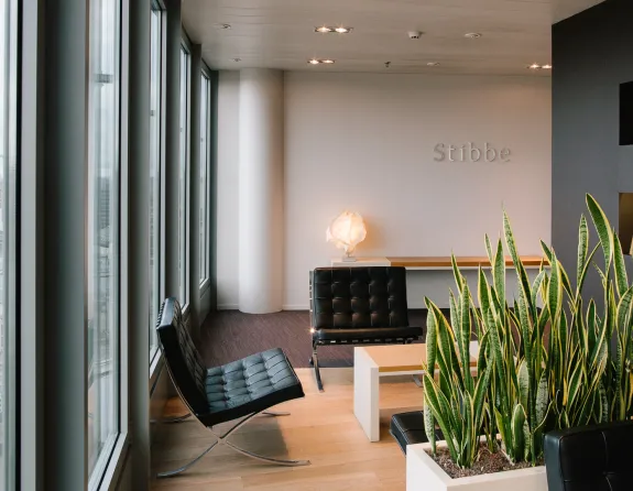 Publications & Insights | Stibbe